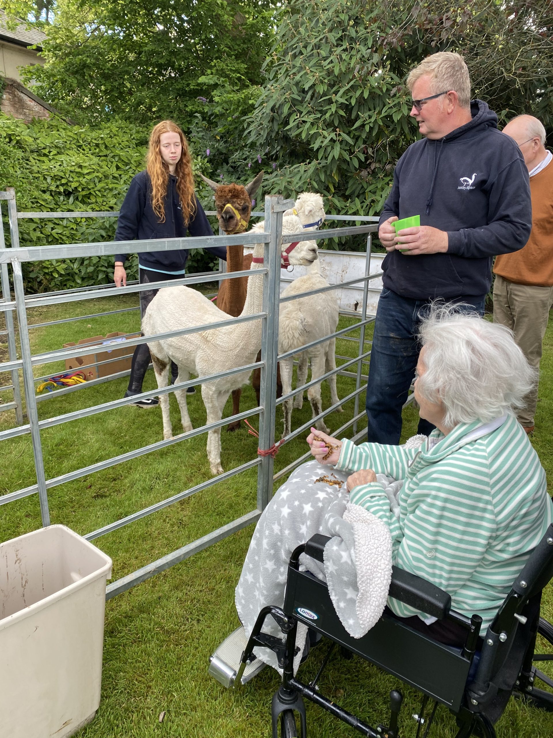 Animals steal the show at Manor House Garden Party – Nottingham Local News