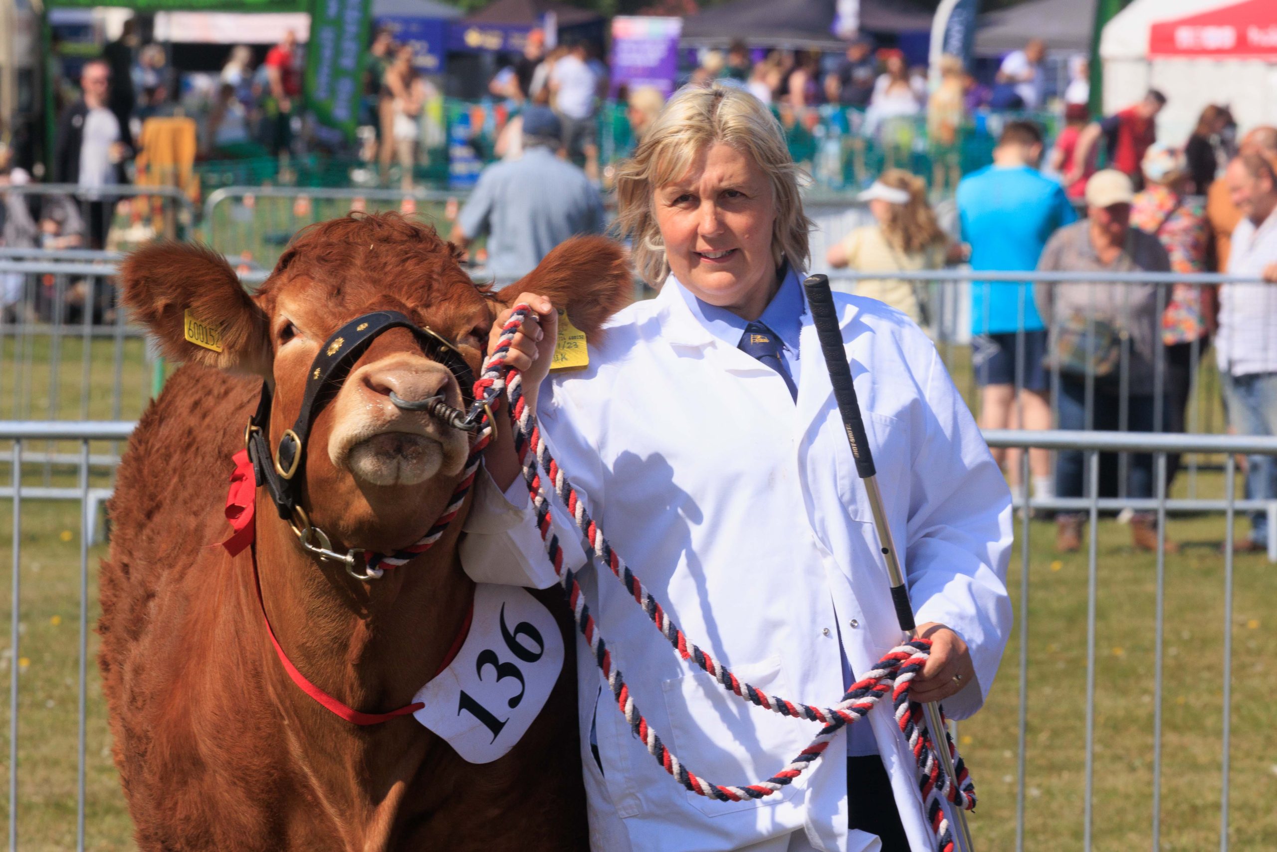 Nottinghamshire County Show back for 141st year – Nottingham Local News