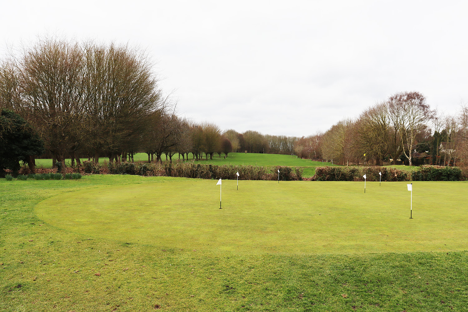 Edwalton Golf Centre welcomes boost in memberships – Nottingham Local News