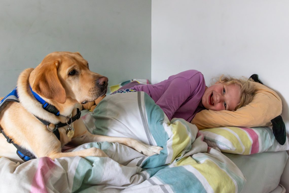 Support dog Rodney brings local family closer together – Nottingham ...