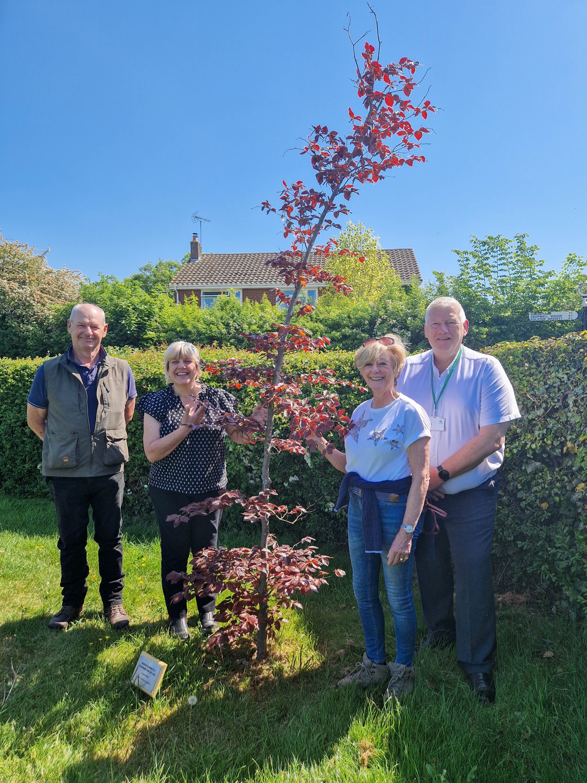 Become a Tree Warden for your local area! – Nottingham Local News