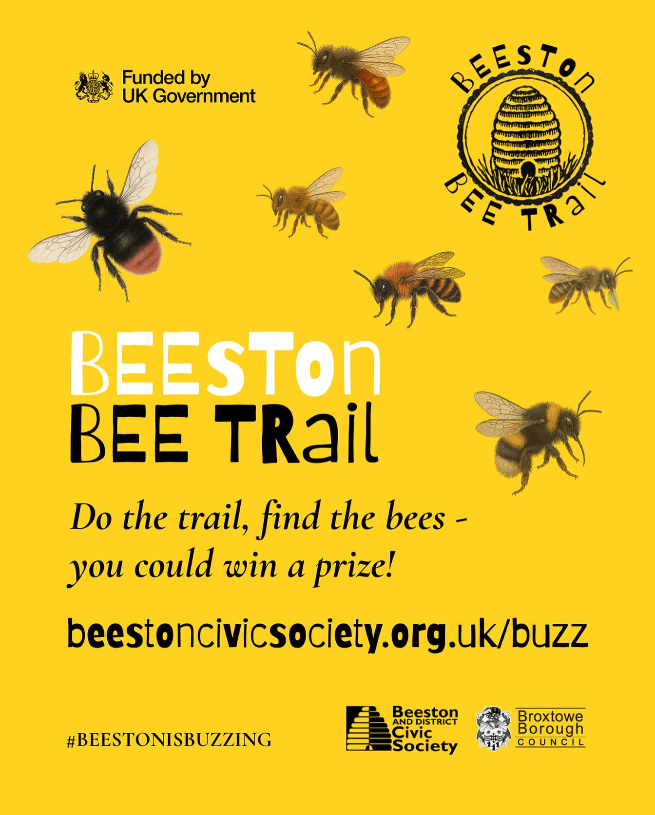 Beeston Bee Trail expands its colony – Nottingham Local News