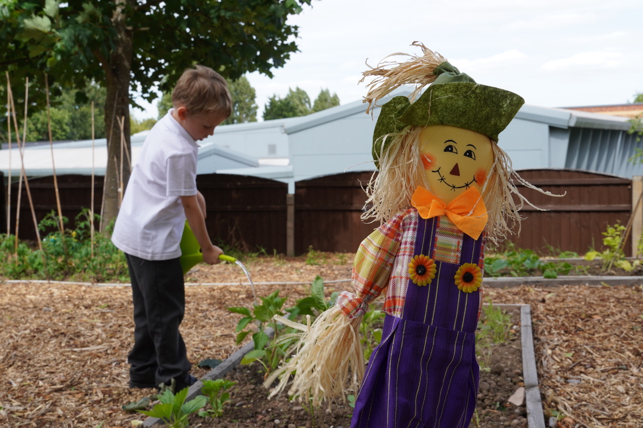 Green Flag Award for Firbeck Academy in Wollaton – Nottingham Local News