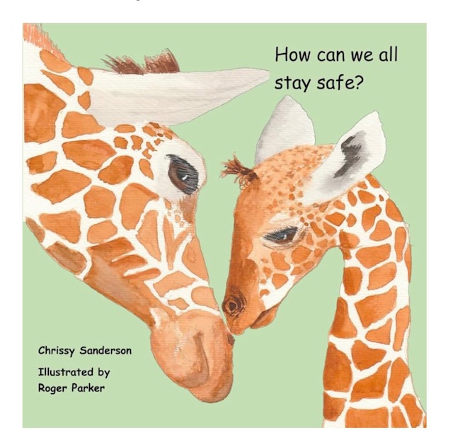 Bingham Author releases second book: 'How can we all stay safe ...