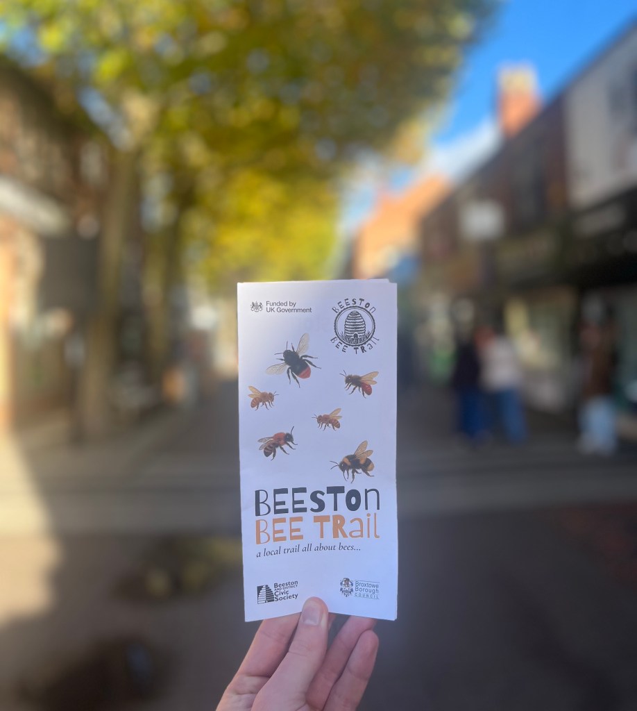 Beeston Bee Trail takes flight! – Nottingham Local News