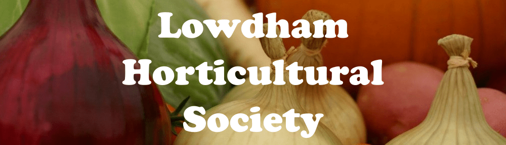 Lowdham Horticultural Society Summer Show – Nottingham Local News